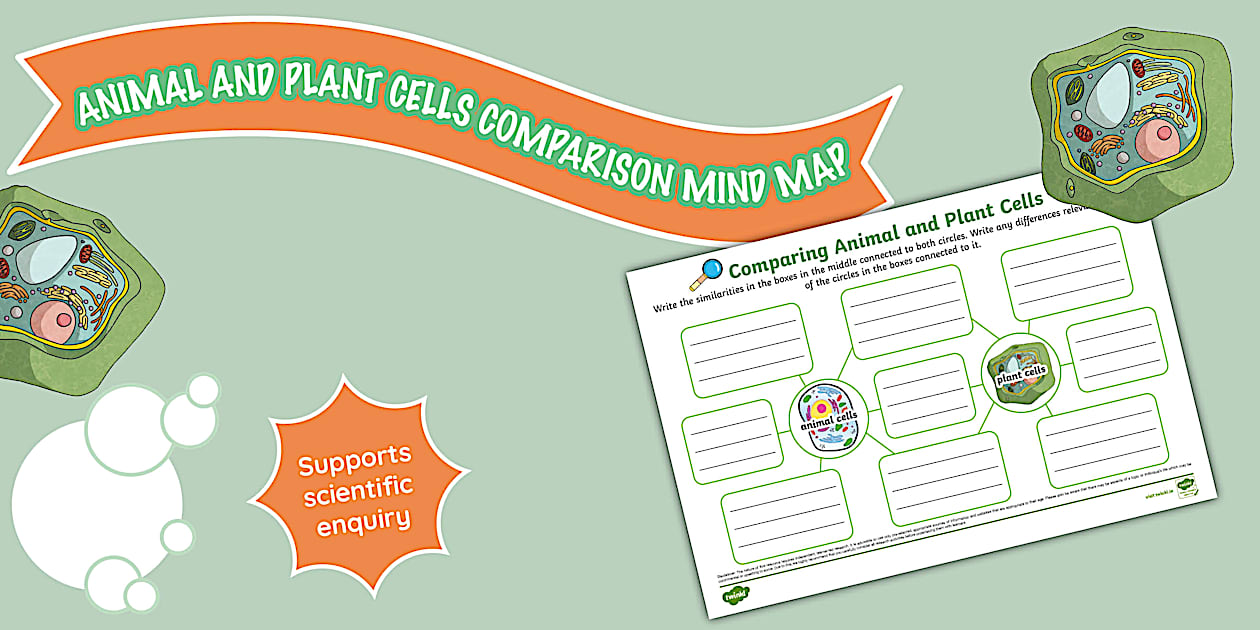 Animal and Plant Cells Comparison Mind Map