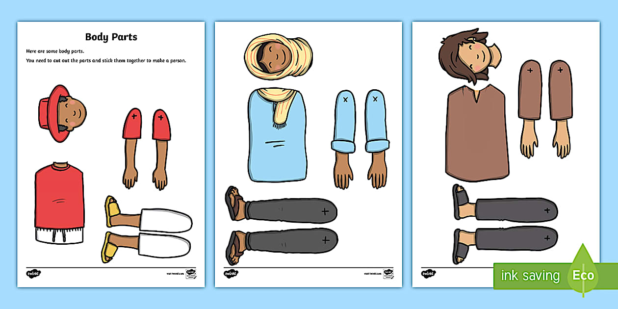 Body Parts Split Pin Activity (teacher made) - Twinkl