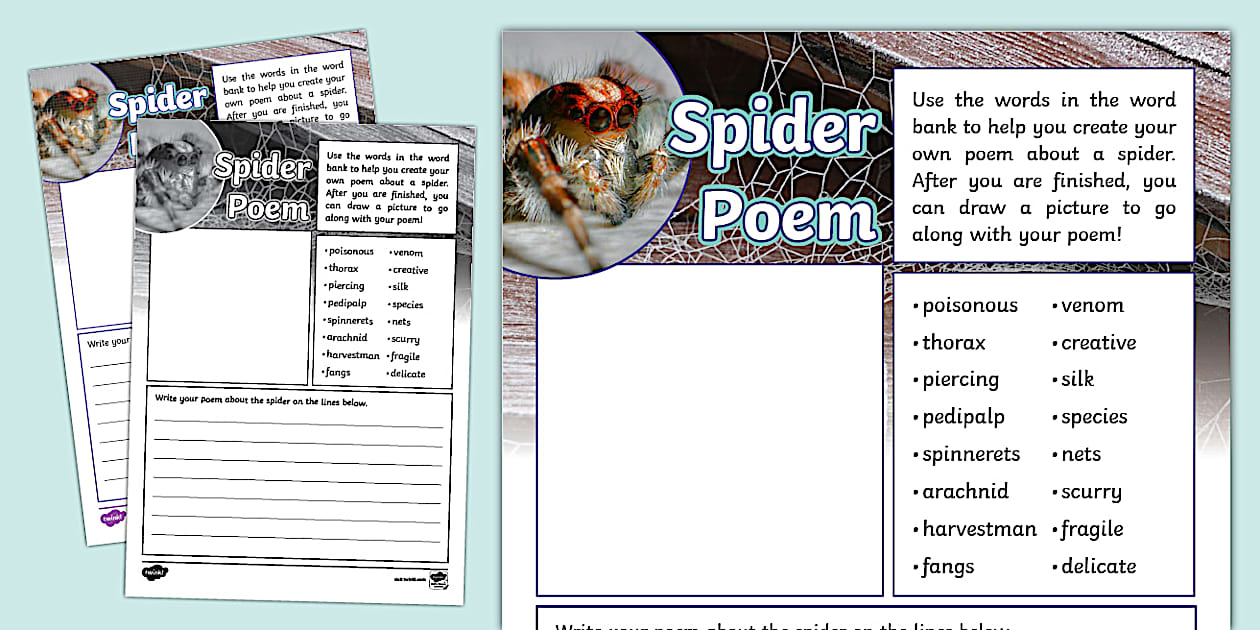 Spider Poem Writing Template (teacher made) - Twinkl