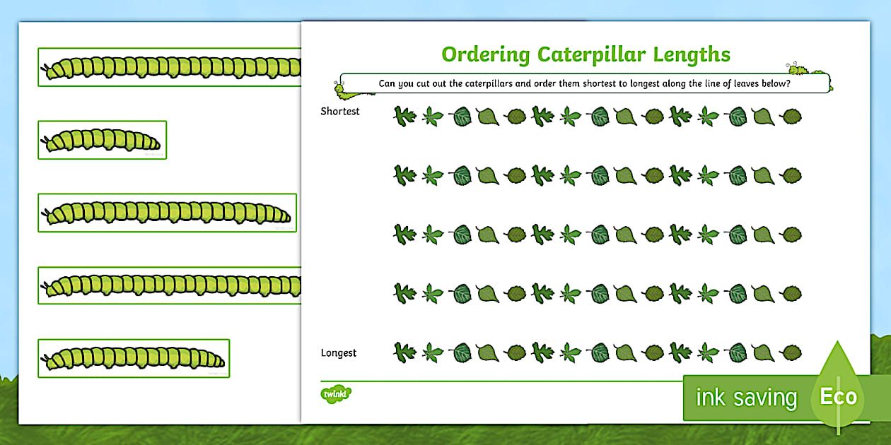 TAS Ordering Caterpillar Lengths Worksheet - Twinkl