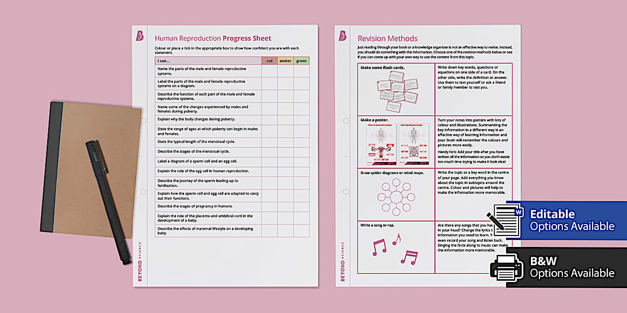 Human Reproduction Progress Sheet | KS3 Biology | Beyond