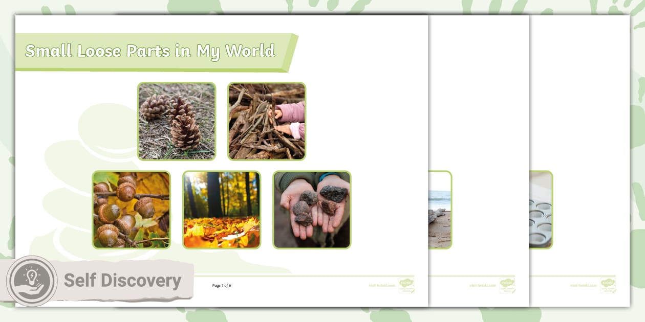 Small Loose Parts in My World Photo Display Pack - Twinkl