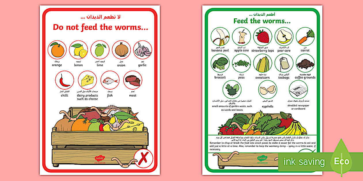 What to Feed Worms in a Wormery Display Posters Arabic/English