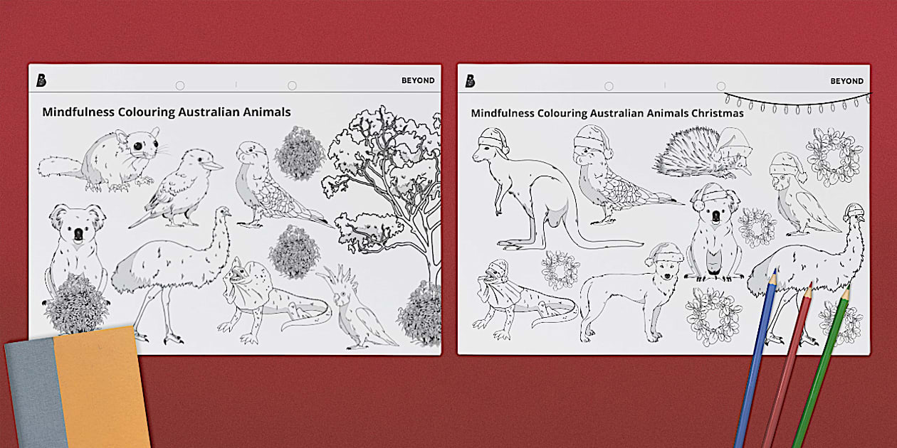 Mindfulness Colouring Australian Animals Christmas - Twinkl