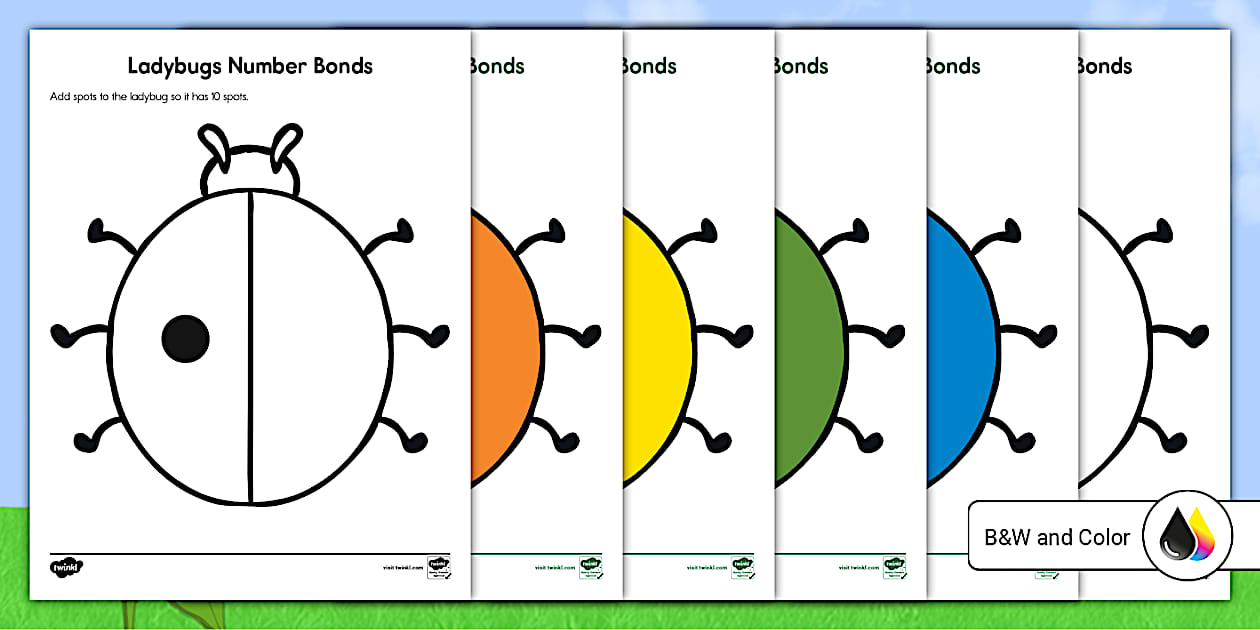 Ladybug Number Bond Worksheet Sheet | Math | Twinkl USA