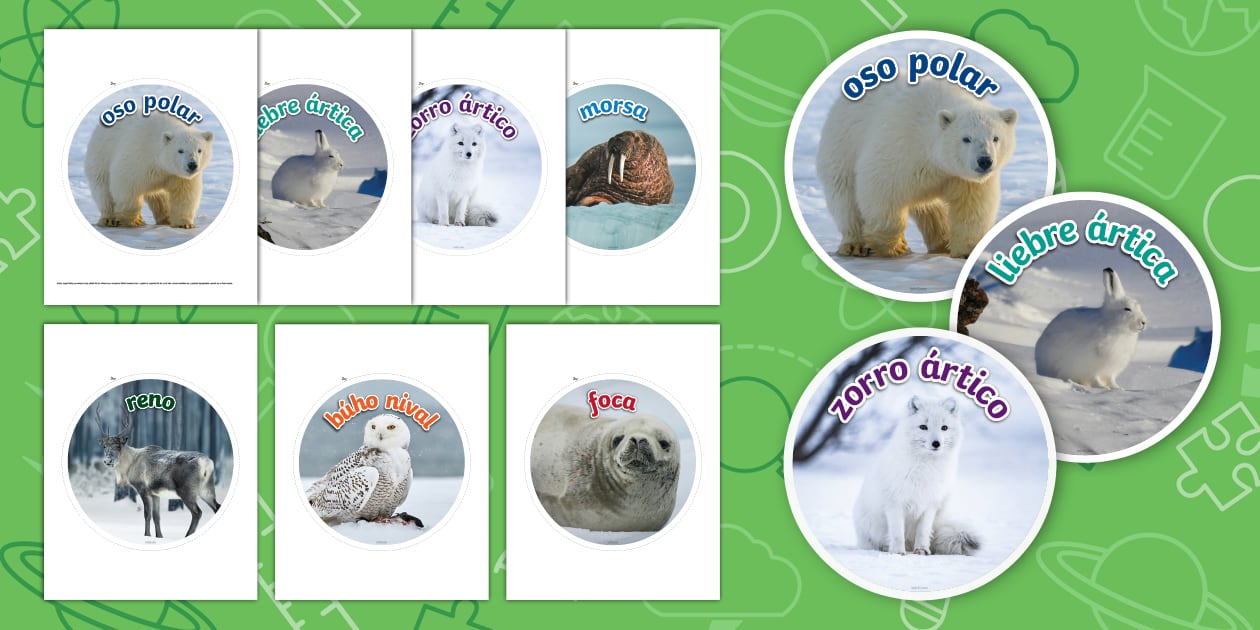 Recortables: Los animales del Ártico