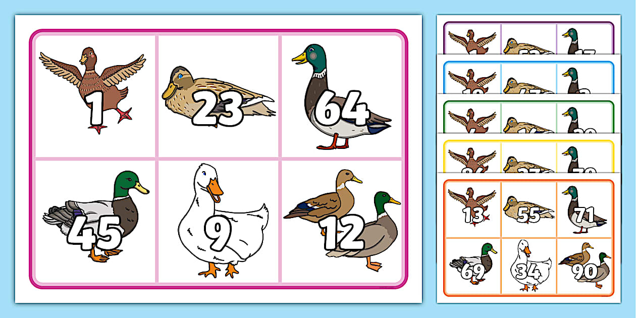 Duck Bingo Pack (Teacher-Made) - Twinkl