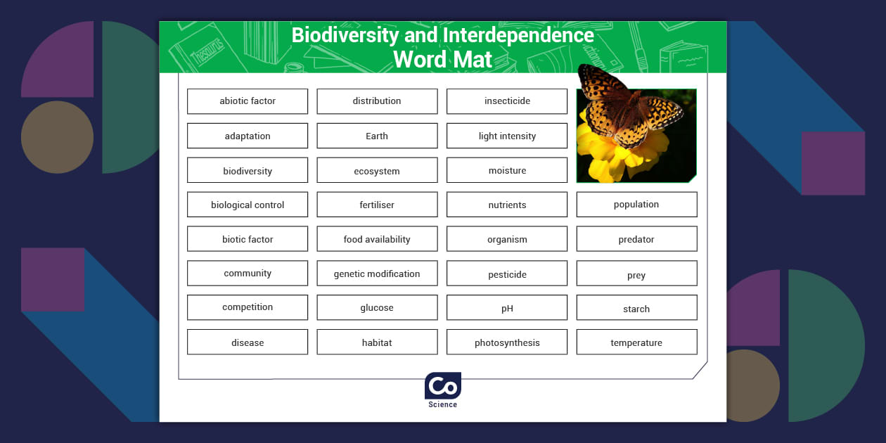 Biodiversity and Interdependence: Key Word Revision Mat