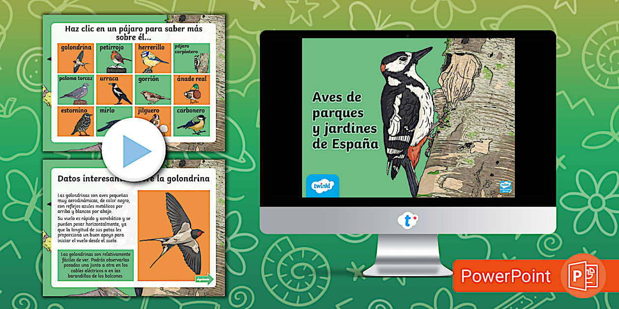 Presentación: Aves de parques y jardines de España