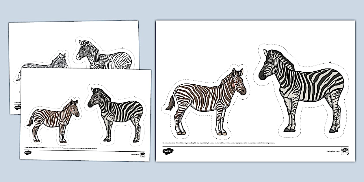Zebra Cut-Outs (teacher made) - Twinkl
