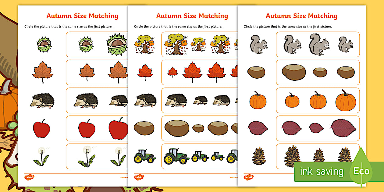 Lower Ability Autumn Themed Size Matching Worksheets