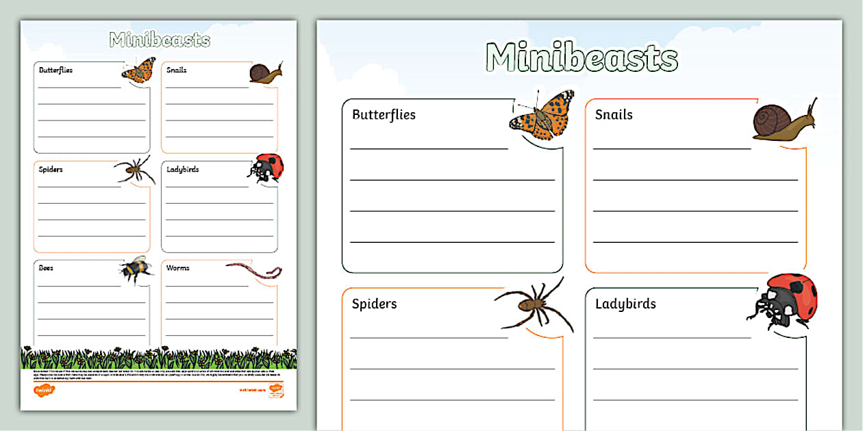 Minibeast Fact File Template - Twinkl Minibeasts - Twinkl