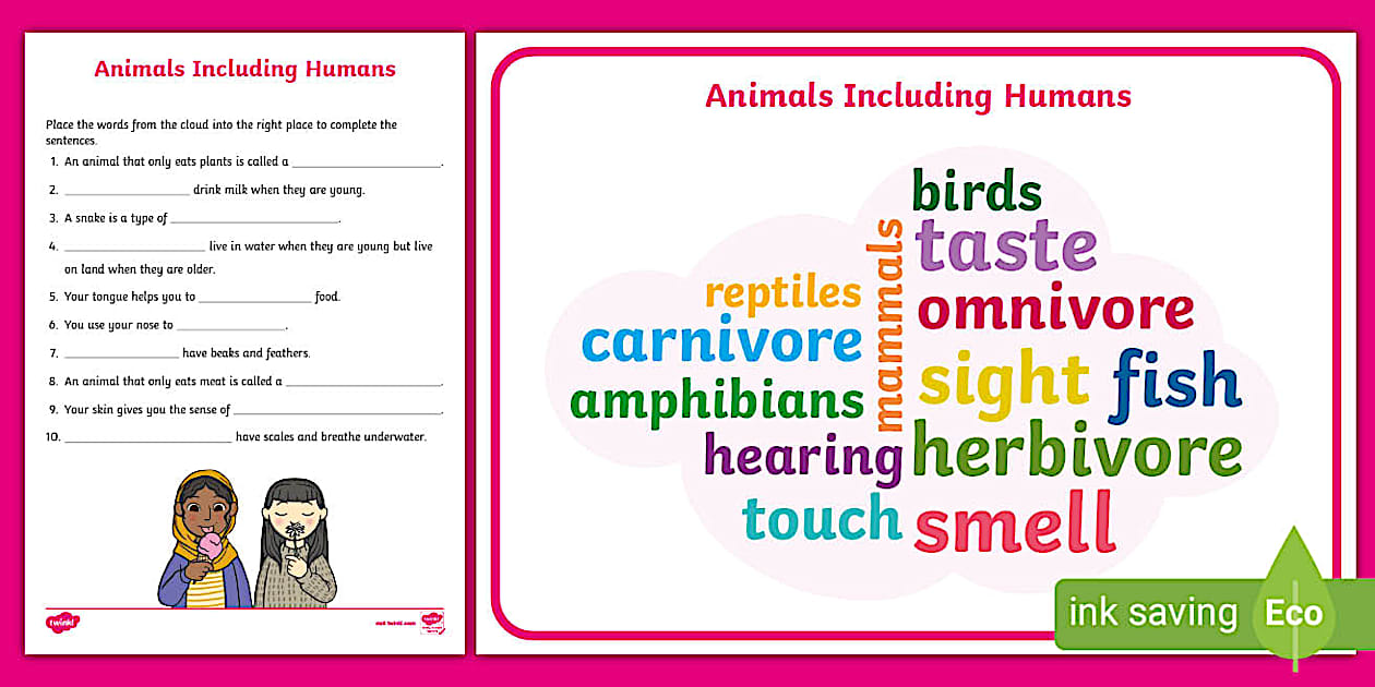 Y1 Animals Including Humans Vocabulary Cloud and Questions