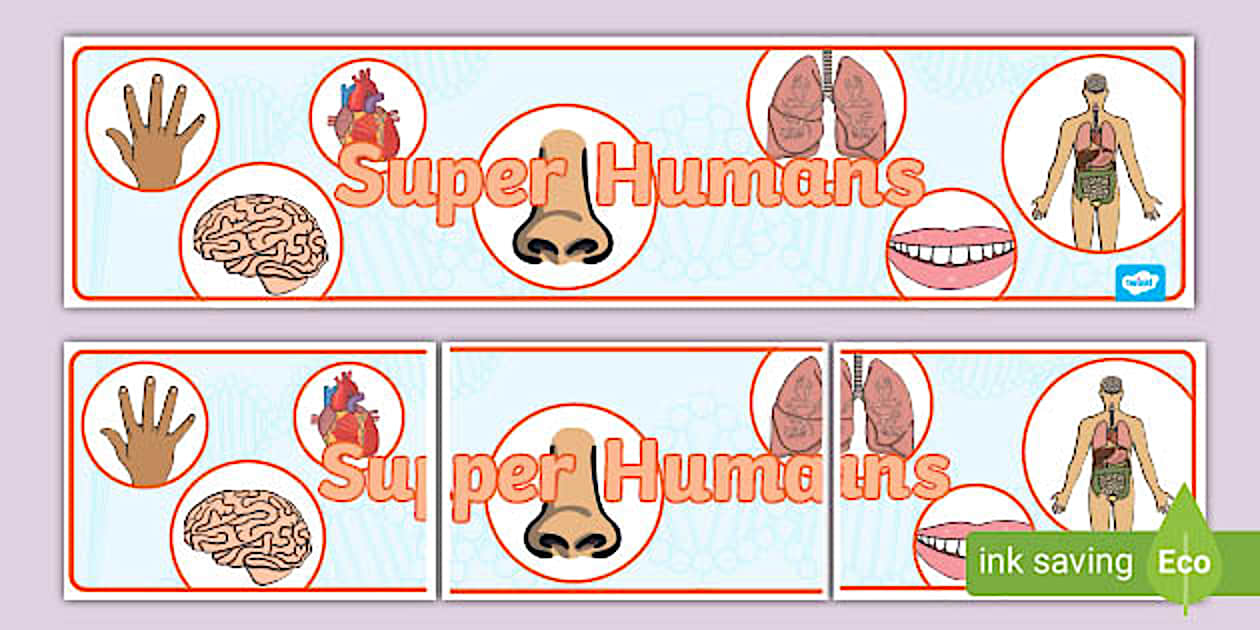 Super Humans Display Banner (Hecho por educadores) - Twinkl