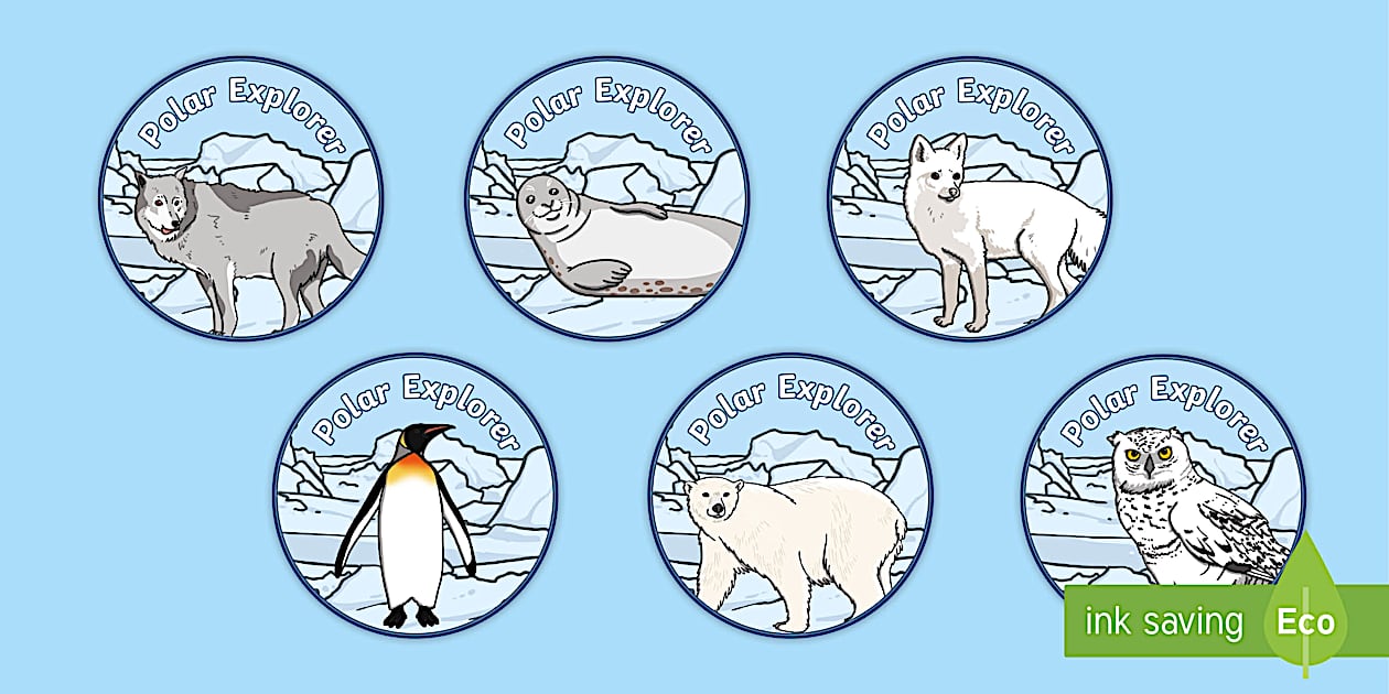 Polar Explorer Role Play Badges (Teacher-Made) - Twinkl