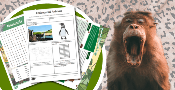 World Animal Day 2025 | Twinkl Teaching Calendar - Twinkl