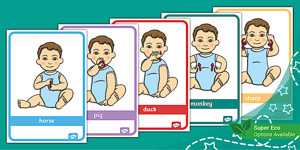 Baby Sign Posters: Animal Signs (teacher made) - Twinkl