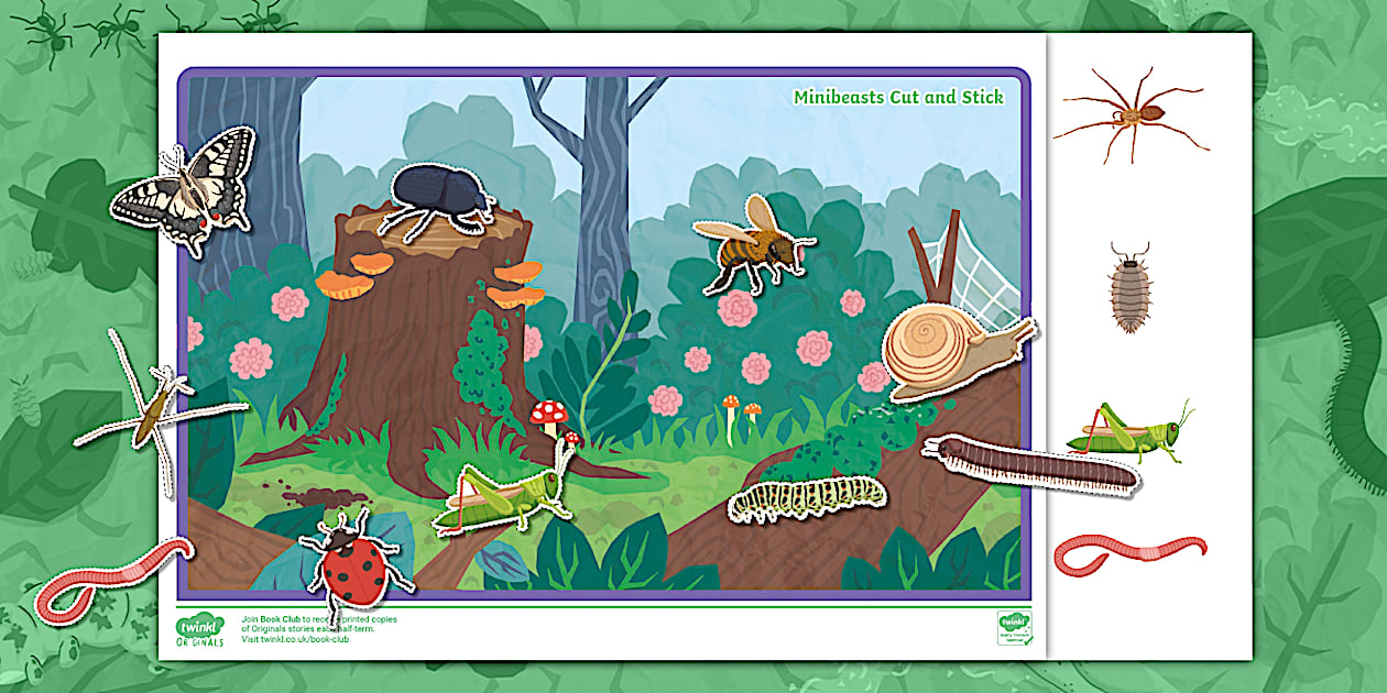Minibeast Cut-and-Stick Scene (teacher made) - Twinkl