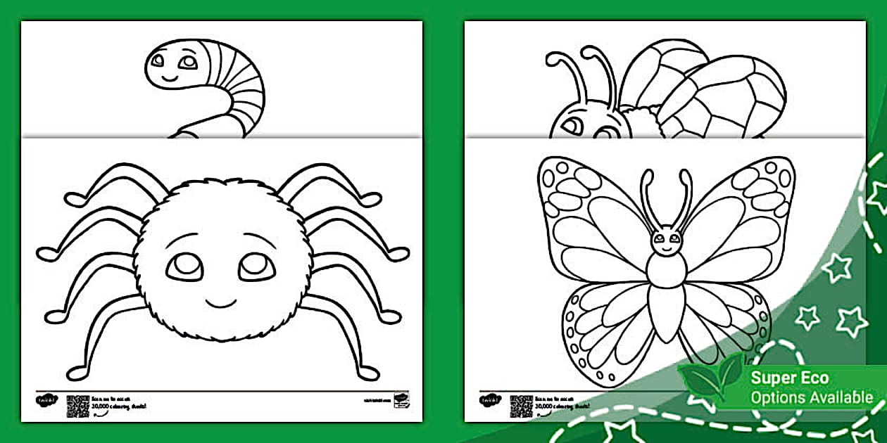 Editable Minibeasts Colouring Sheets (teacher made) - Twinkl