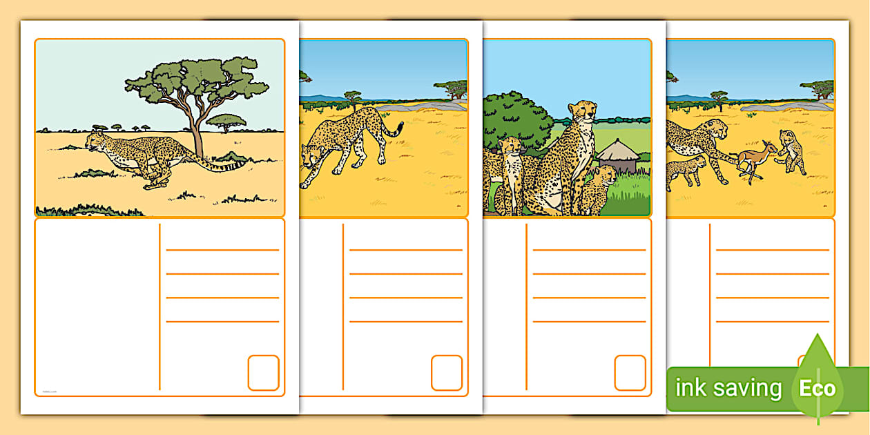 Cheetah Postcards to use to brush up on writing skills.
