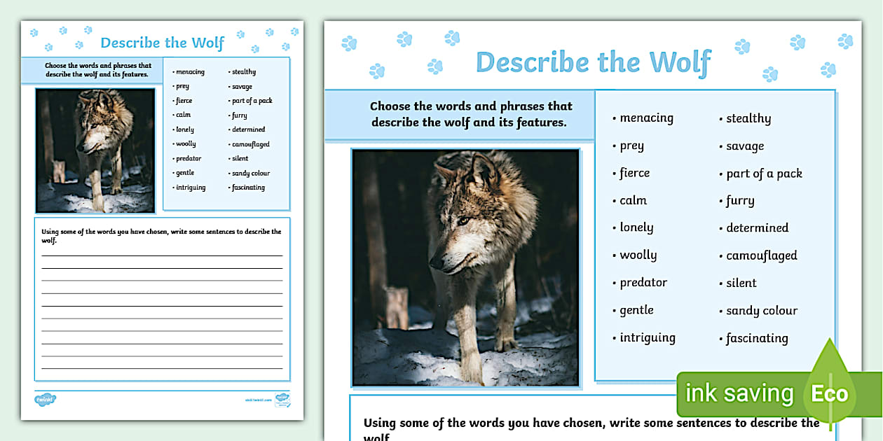 Describe the Wolf Writing Activity (teacher made) - Twinkl