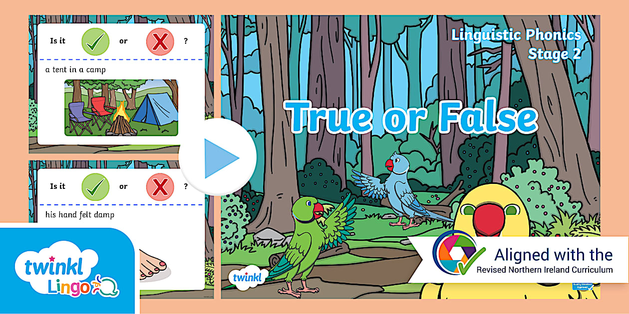 Linguistic Phonics Stage 2 True or False PowerPoint - Twinkl