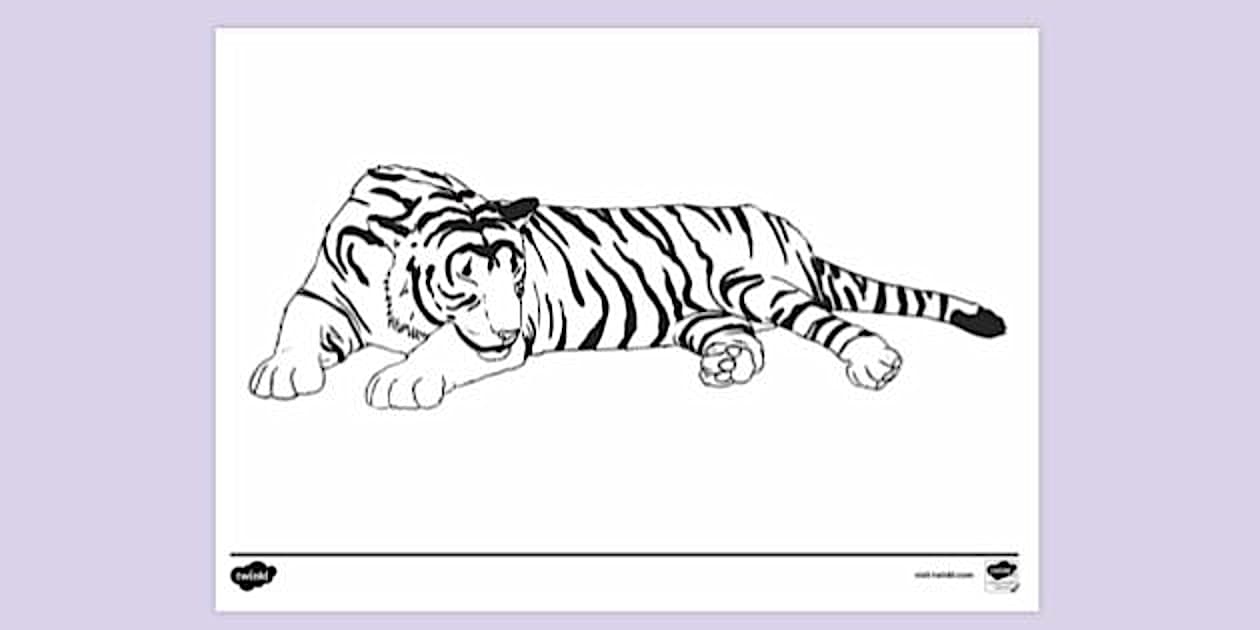 Sleeping Tiger Colouring Sheet | Colouring Sheets - Twinkl