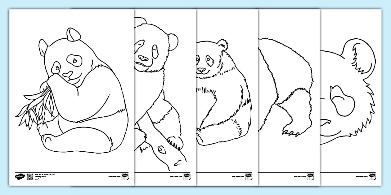Baby Panda Colouring Sheet | Colouring In Pages - Twinkl