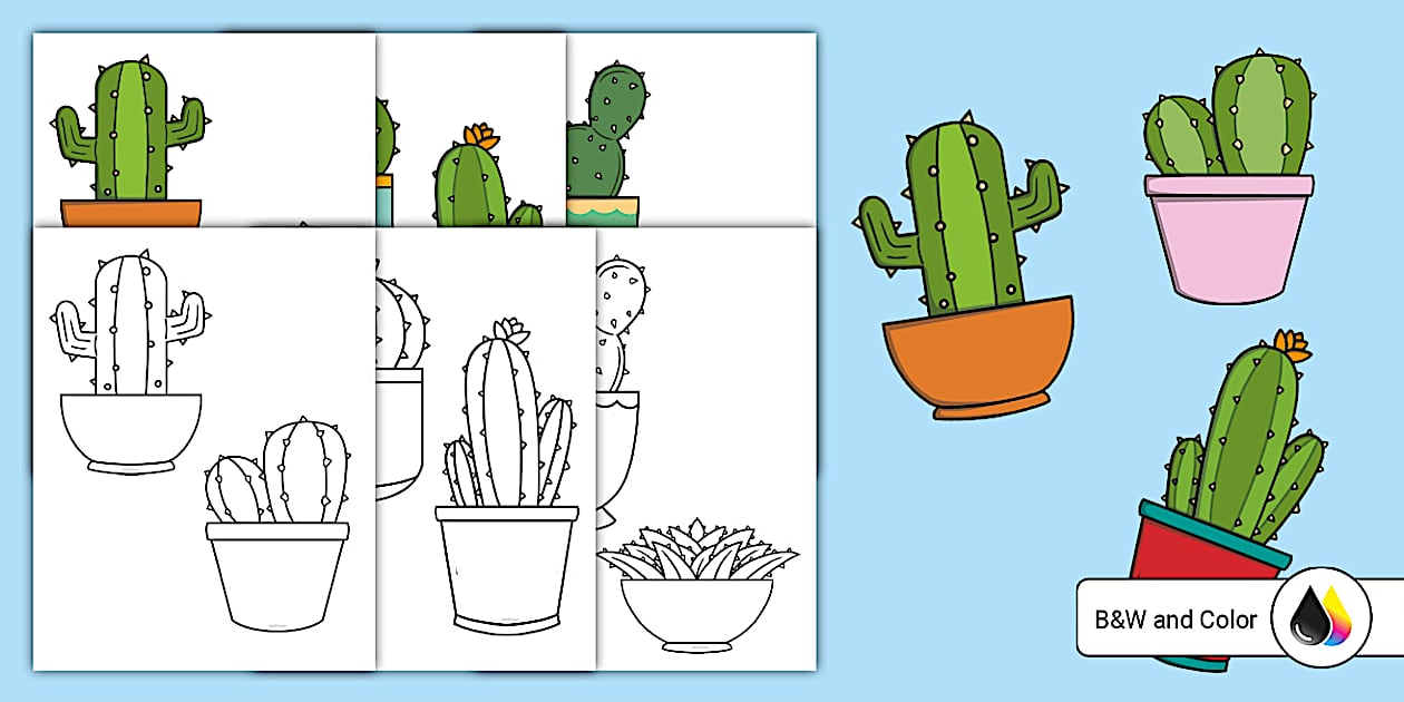 Succulent Cutouts (teacher made) - Twinkl