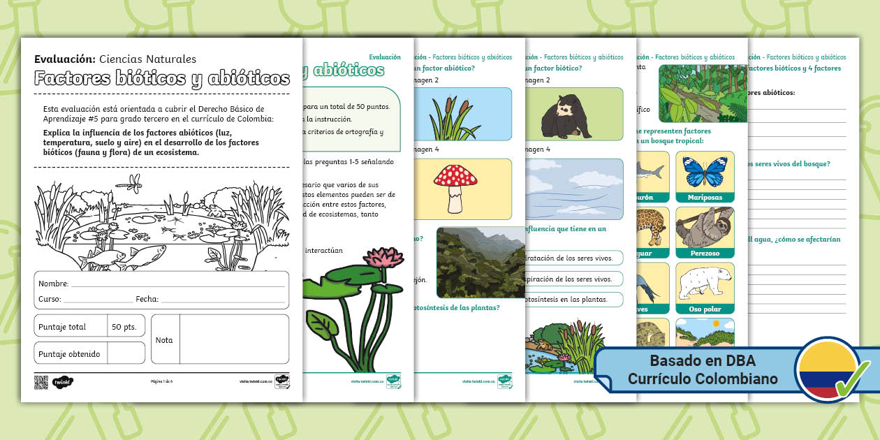 Guía de evaluación: bióticos y abióticos - Twinkl Colombia