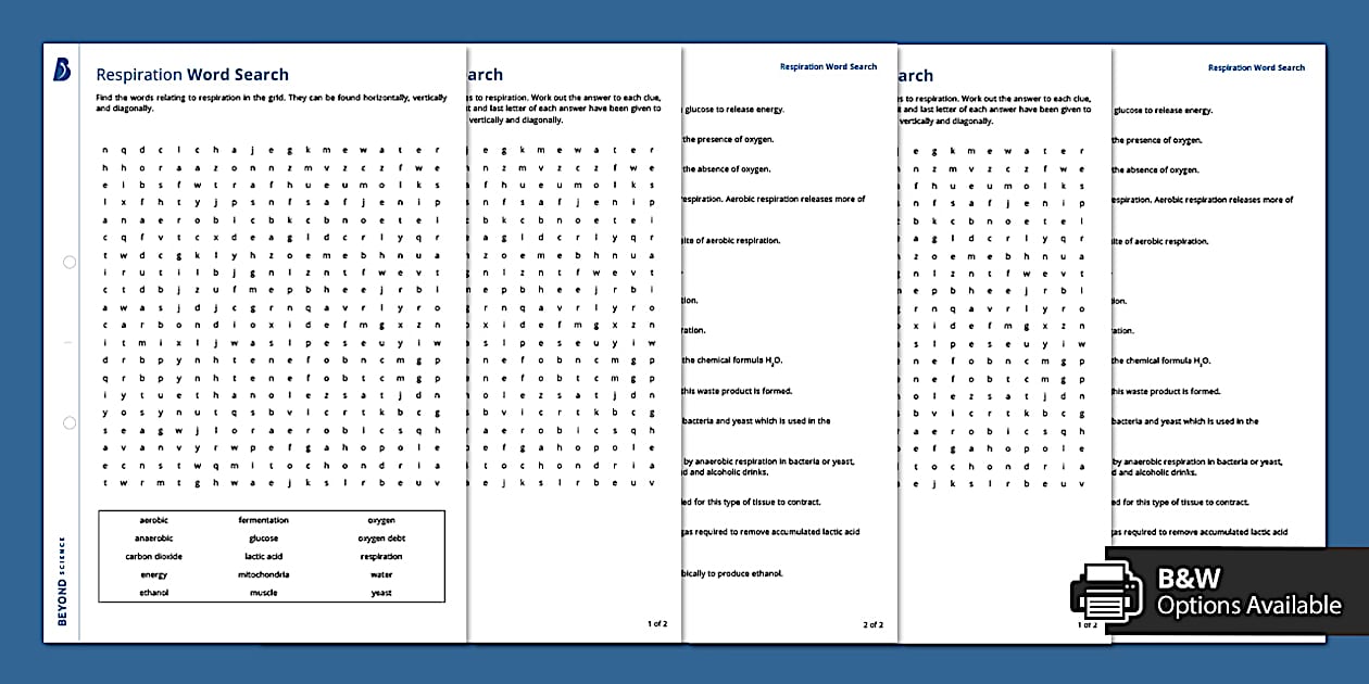Respiration Word Search | KS3 Science | Beyond Secondary