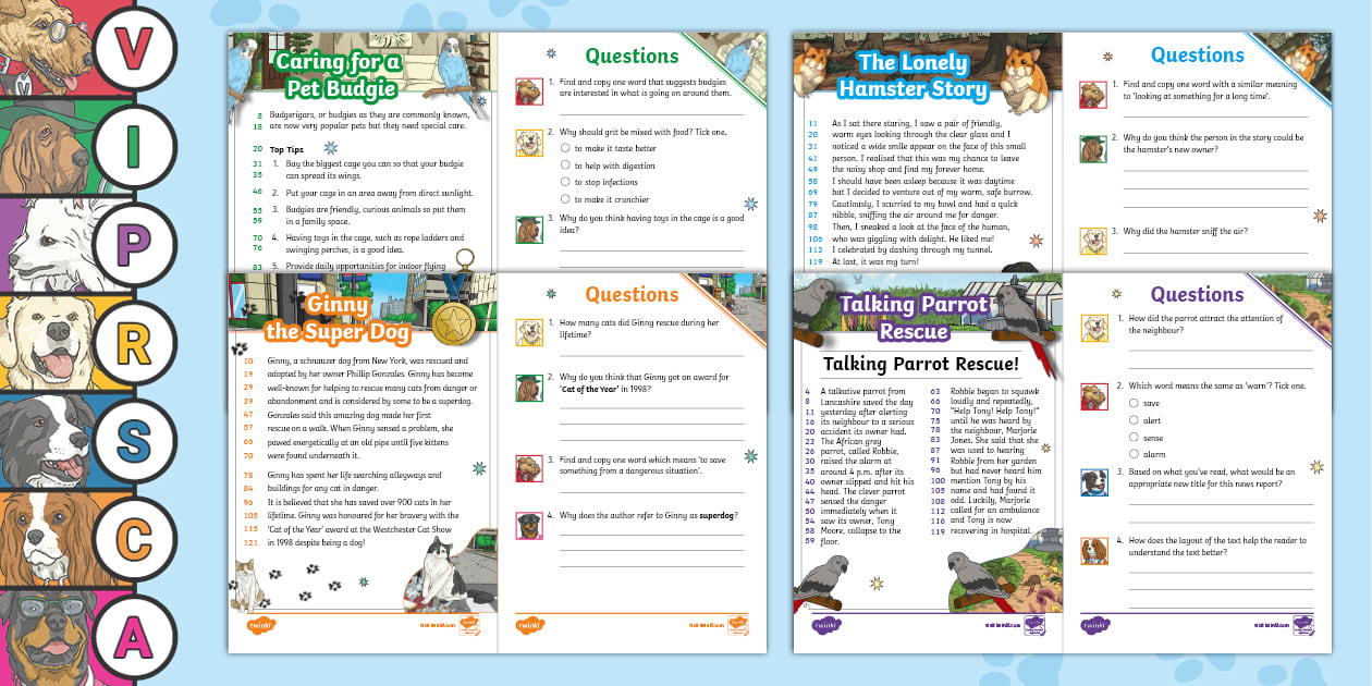 LKS2 60-Second Reads: Pets Activity Pack (teacher made)