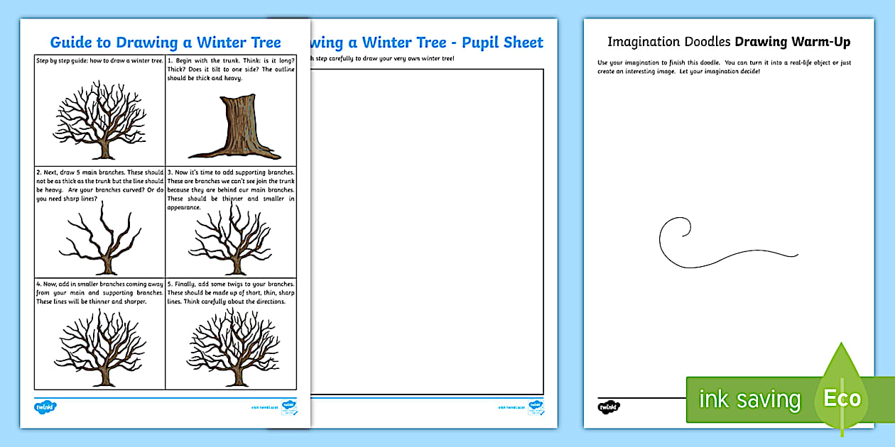 CFE Second Level Drawing Skills Resource Pack (Teacher-Made)