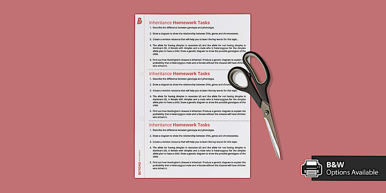 Inheritance Homework and Revision Tasks (teacher made)