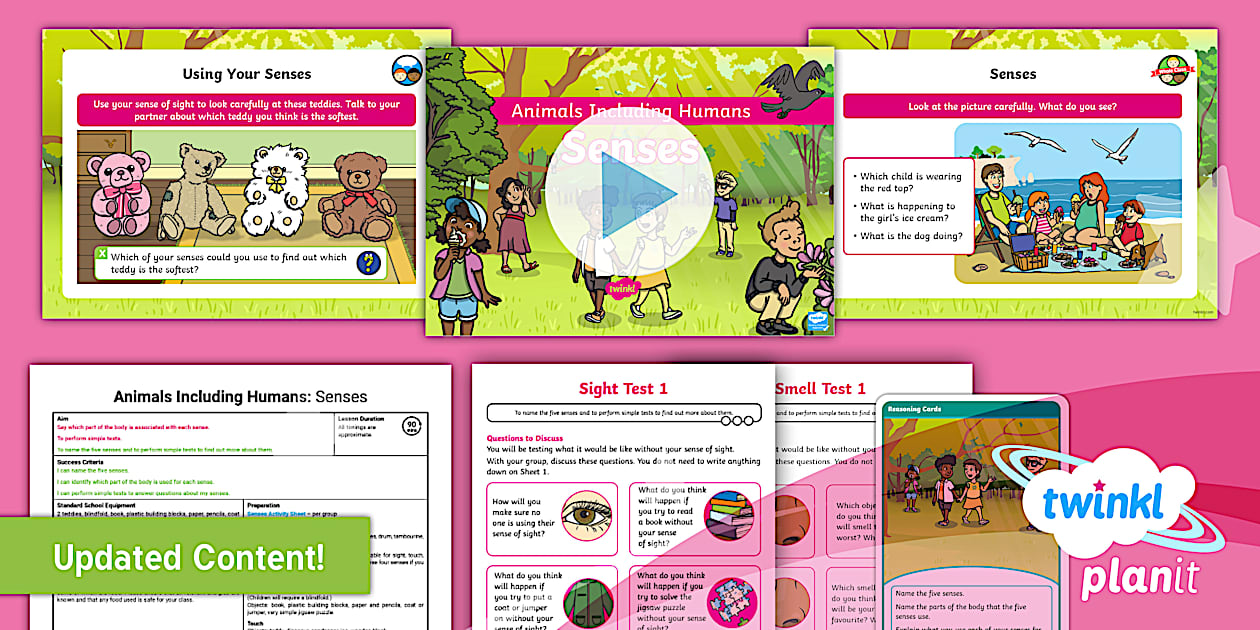 Senses Year 1 5 Senses Lesson | Sense of Hearing Lesson Plan