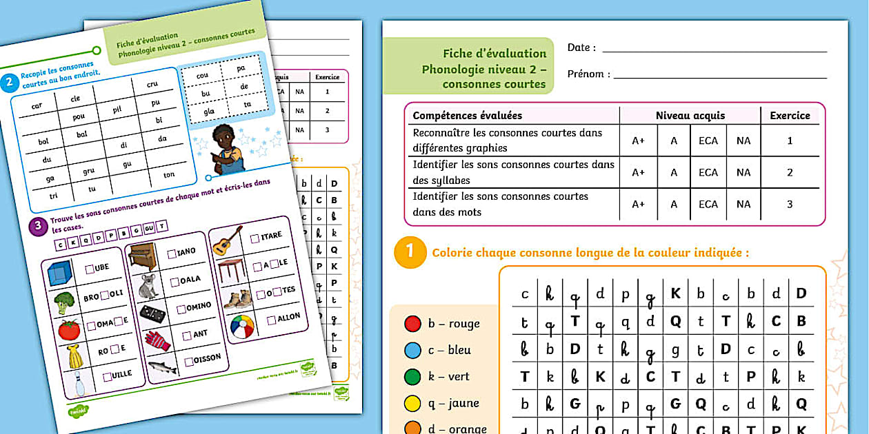 Fiche d'évaluation Niveau 2 - Consonnes courtes - Twinkl