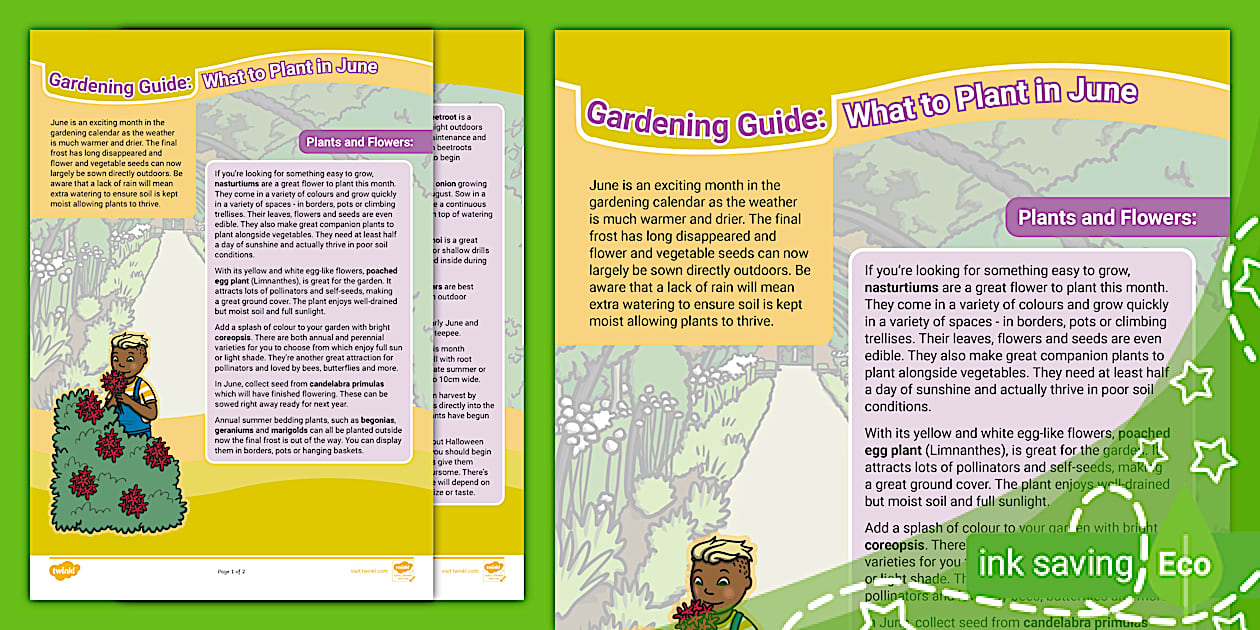 Gardening Guide: What to Plant in June