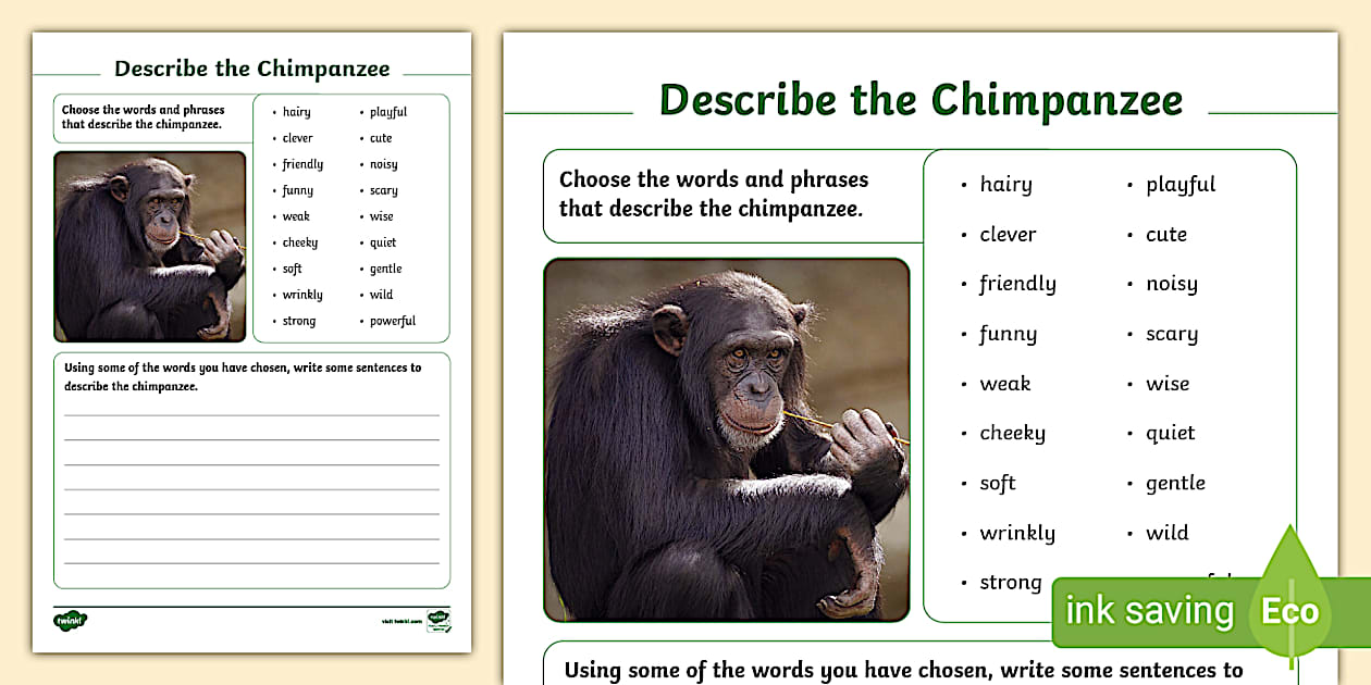 Describe the Chimpanzee Writing Activity (Teacher-Made)