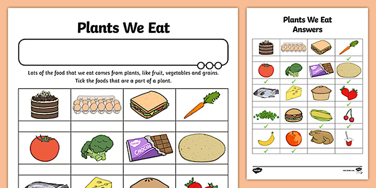 Food From Plants Worksheet - Primary Resources - Twinkl