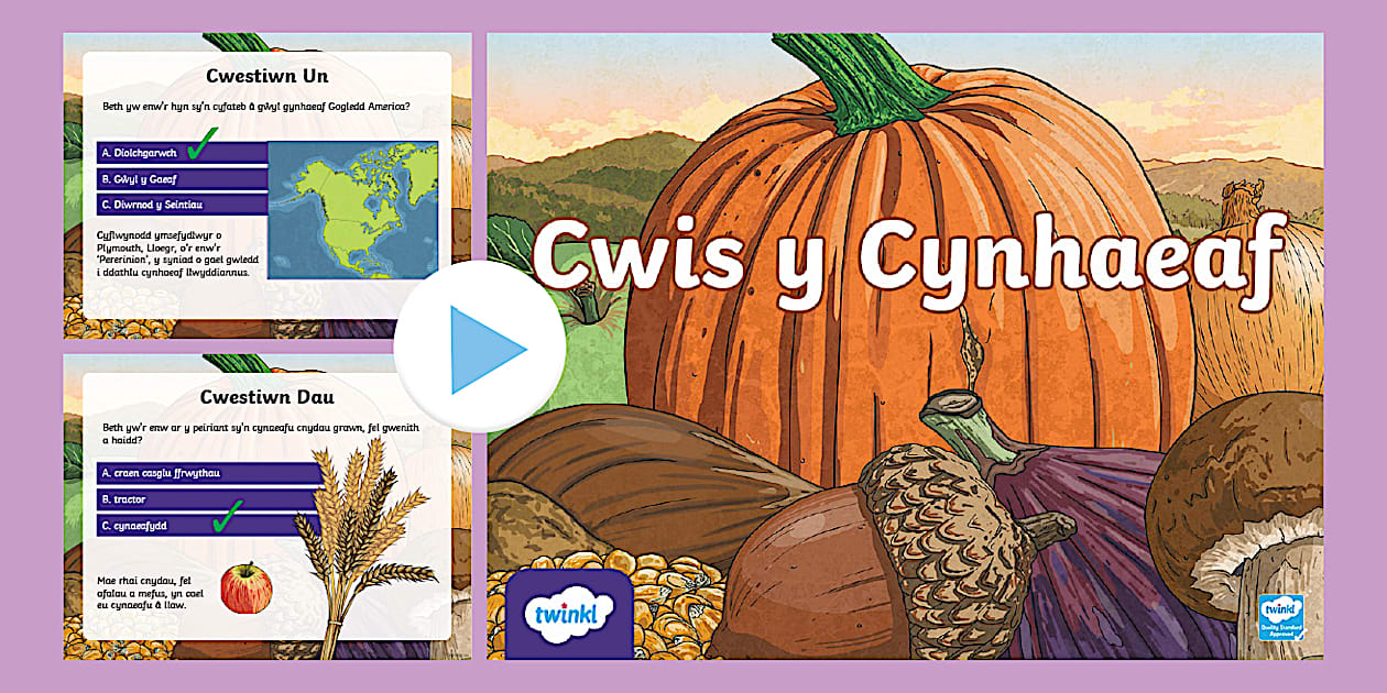 Cwis y Cynhaeaf (teacher made) - Twinkl
