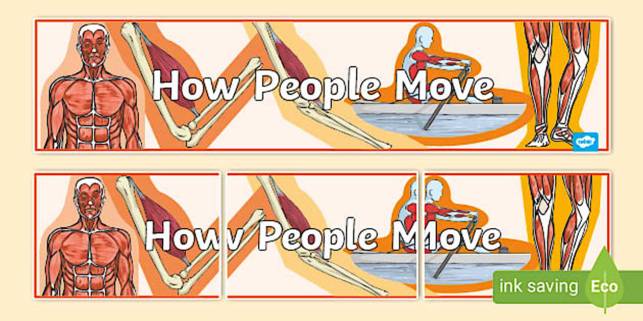 How People Move Display Banner (teacher made) - Twinkl