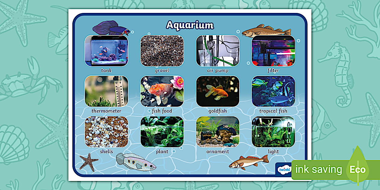 Aquarium Themed Word Mat (teacher made) - Twinkl