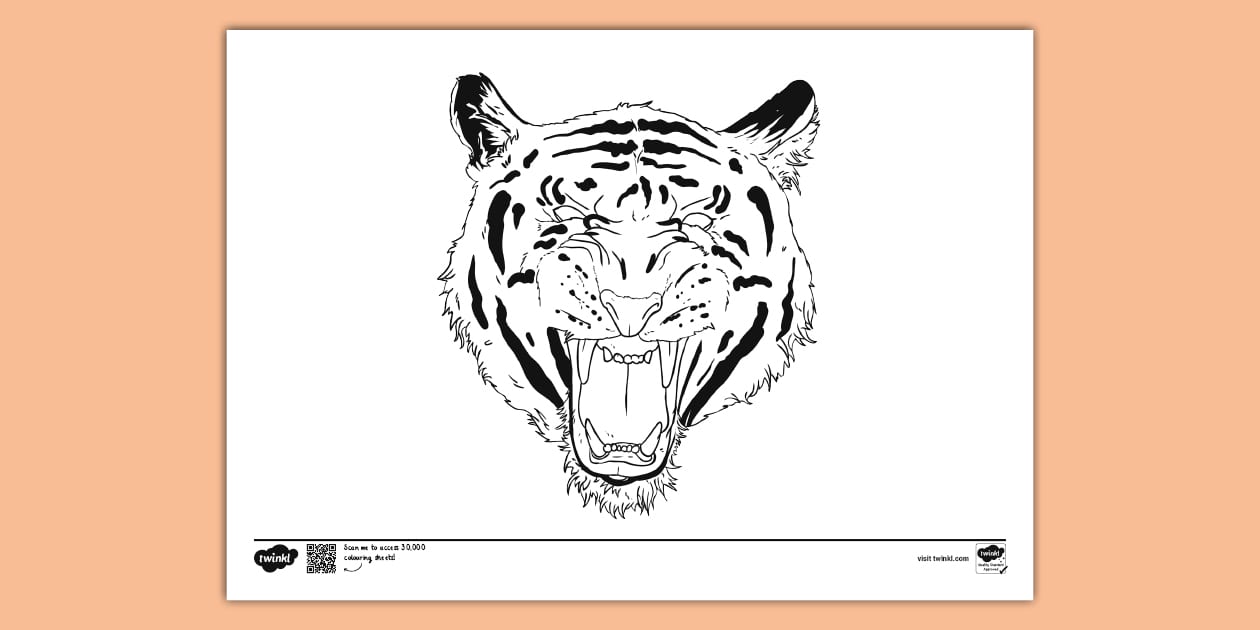 Tiger Face Colouring Sheet | Colouring Sheets (Teacher-Made)