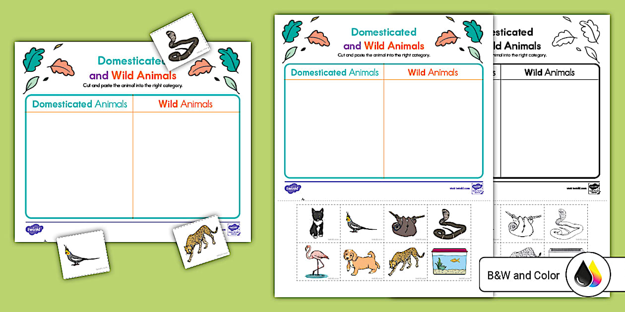 Domesticated and Wild Animals Cut and Paste Sorting Activity