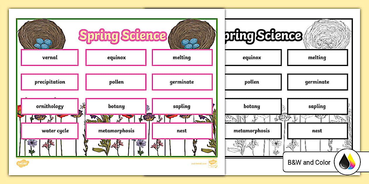 Spring Science Vocabulary Mat for 6th-8th Grade - Twinkl