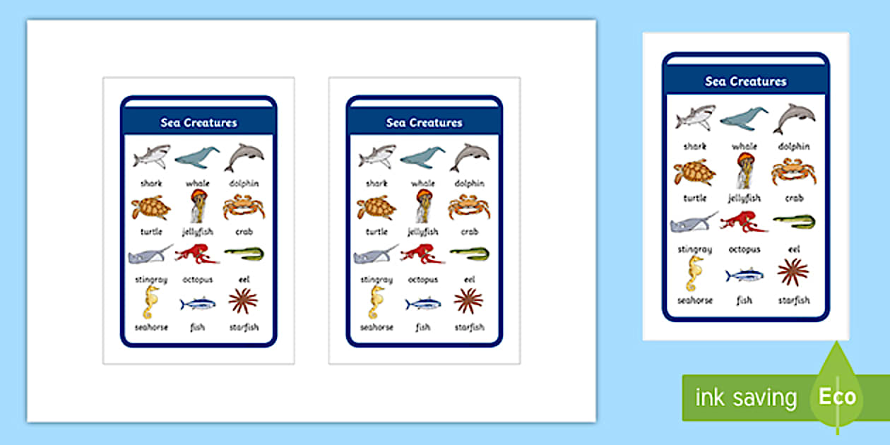 Cursive Sea Creatures Prompt Frame (Hecho por educadores)