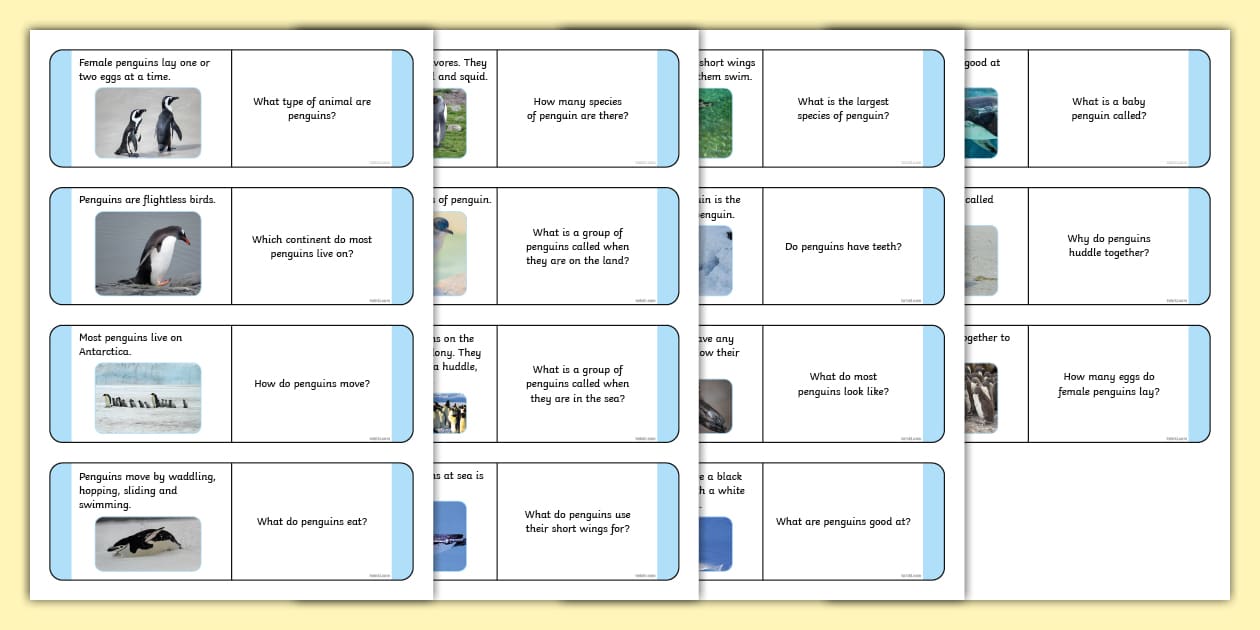 KS1 Penguin Facts Loop Cards Game - KS1 (Teacher-Made)