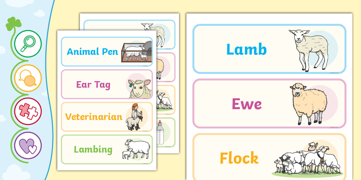 Lambing Word Cards (teacher made) - Twinkl