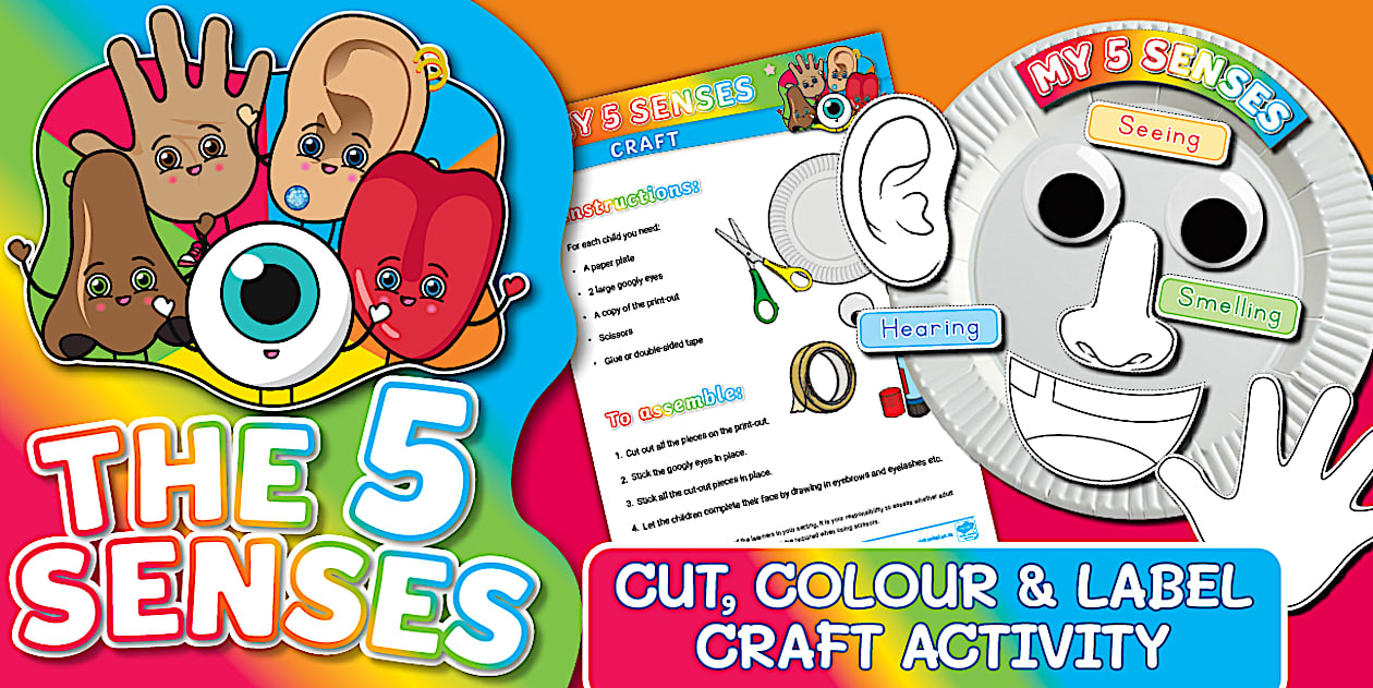 Grade R LS Term 2 - Five Senses -Paper Plate Craft