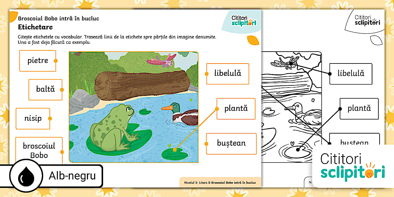 Broscoiul Bobo intră în bucluc – Fișă de etichetare Litera B
